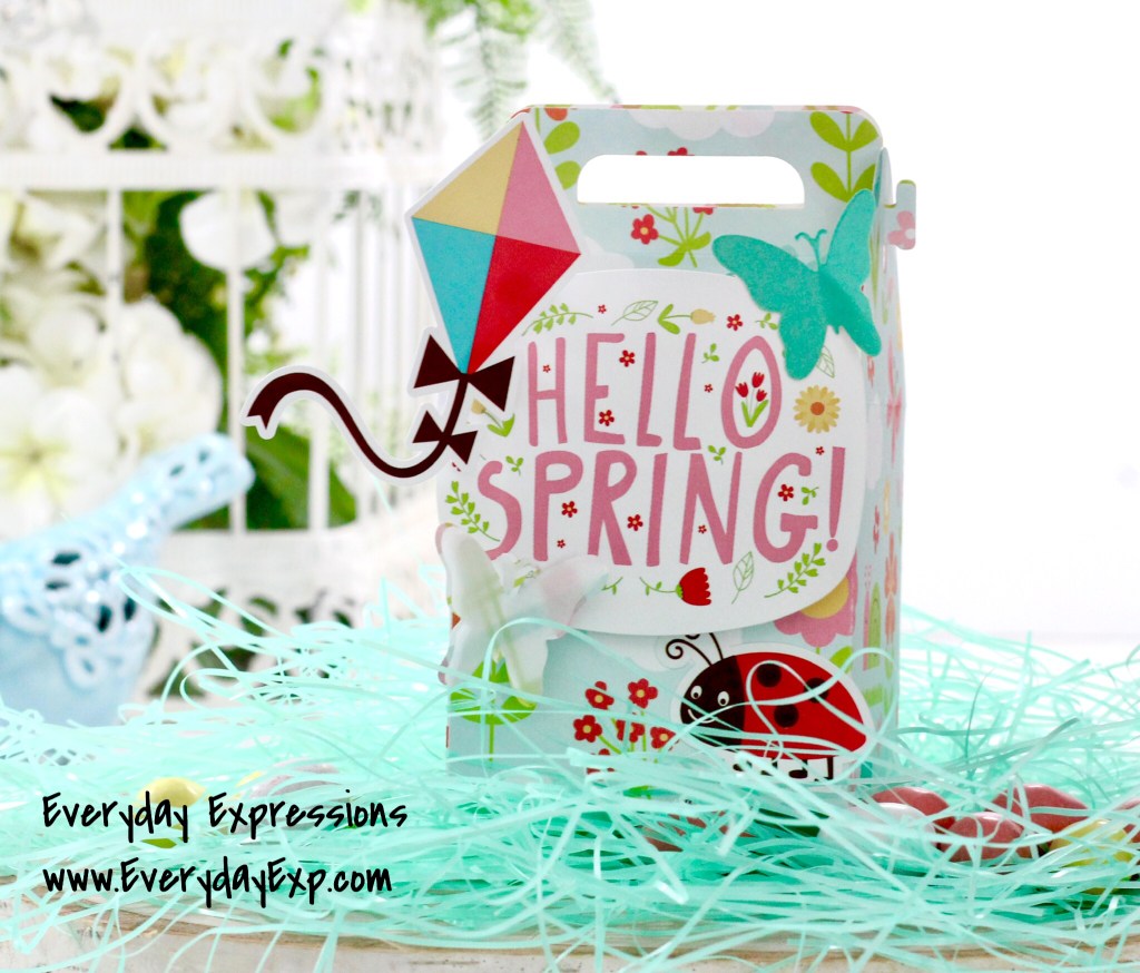 Echo Park Spring Fling Gift Boxes – Everyday Expressions