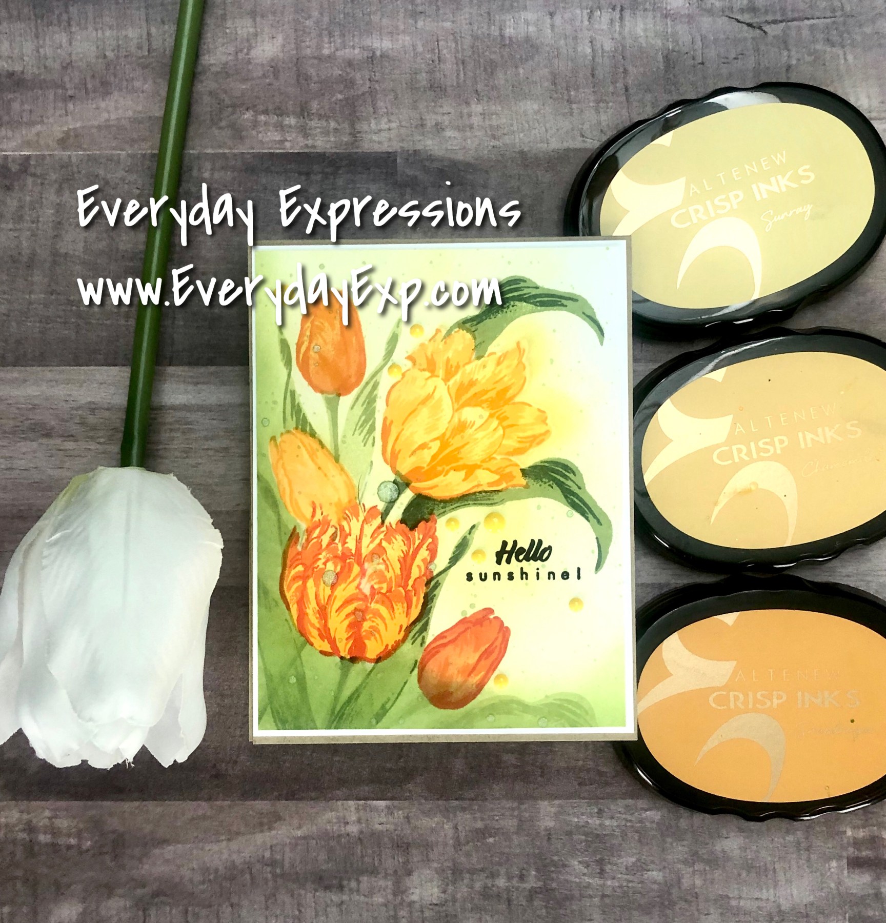 Altenew Educator Certification Workshop Part II – Everyday Expressions